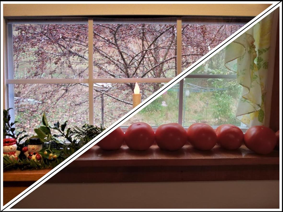 A TALE OF TWO WINDOWS – "VERO'S VERBIAGE & VISUALS"